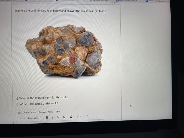 Solved Examine the sedimentary rock below and answer the | Chegg.com