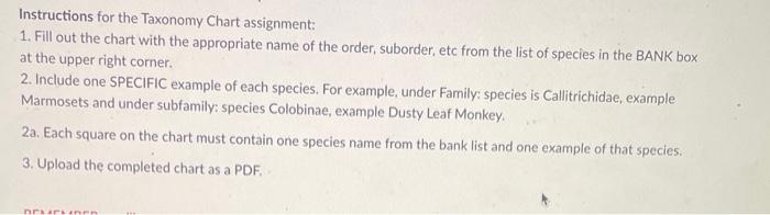 BANK: Callitrichidae Catarrhines Cebidae Ceboidea | Chegg.com