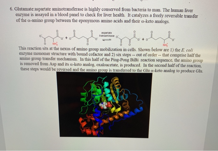Solved 6. Glutamate aspartate aminotransferase is highly | Chegg.com