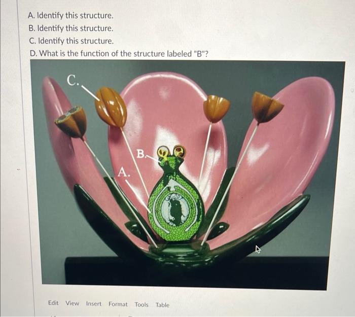 Solved A. Identify this structure. B. Identify this | Chegg.com