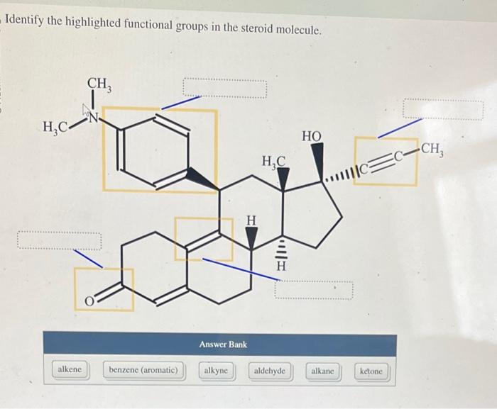 Solved Identify the highlighted functional groups in the | Chegg.com
