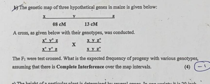 Solved b) The genetic map of three hypothetical genes in | Chegg.com