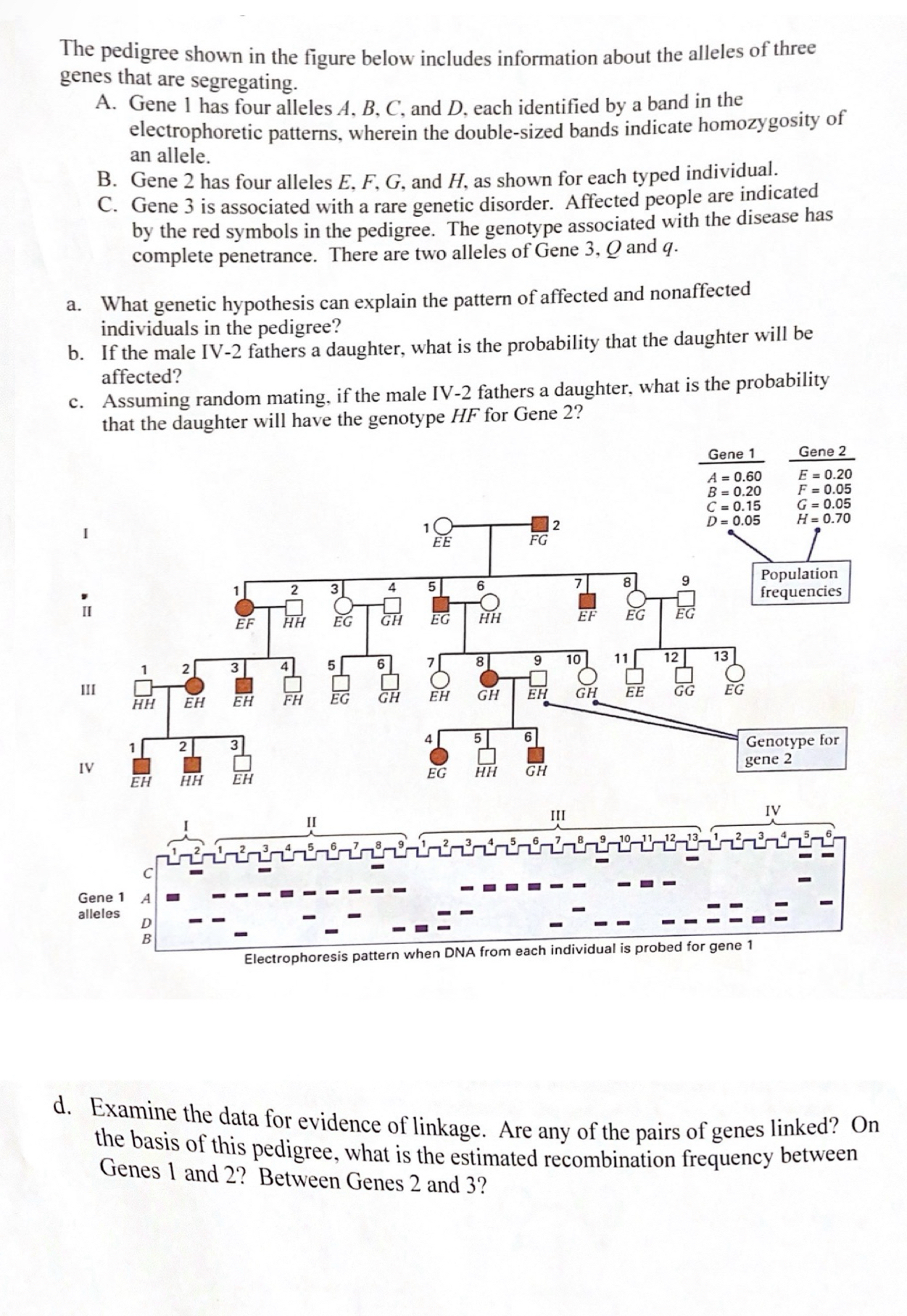 Solved The pedigree shown in the figure below includes | Chegg.com