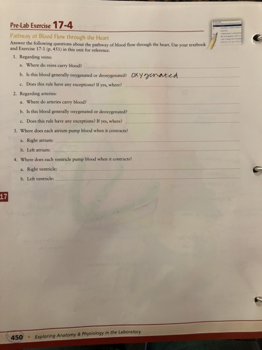 Solved Pre-Lab Exercise 17-4 Pathway of Blood Flow through | Chegg.com