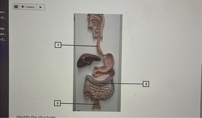 Solved please help label the structures | Chegg.com