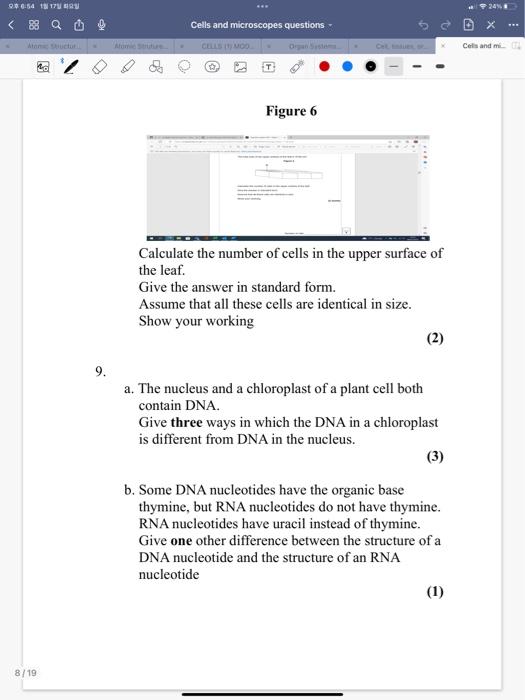 Solved Cells and microscopes questions 1. Uronema marinum is | Chegg.com