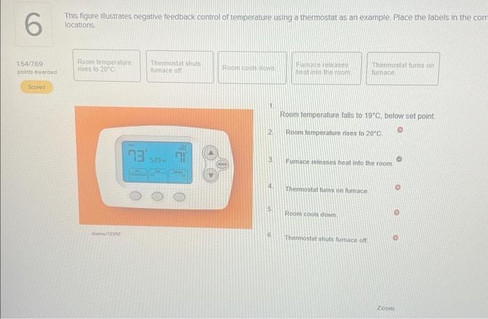 Solved This figure illustrates negative feedback control of | Chegg.com