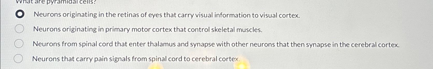 Solved Neurons originating in the retinas of eyes that carry | Chegg.com