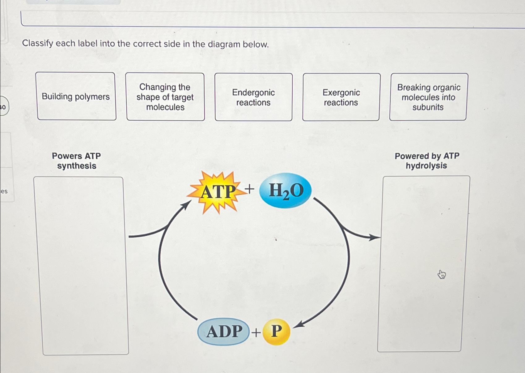 Solved Classify each label into the correct side in the | Chegg.com