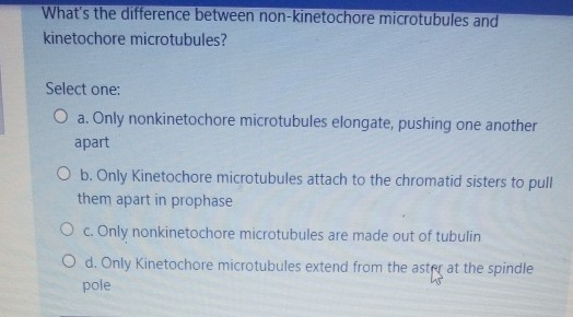 Solved What's the difference between non-kinetochore | Chegg.com