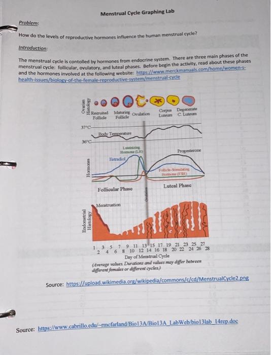 Solved Menstrual Cycle Graphing Lab Problem: How do the | Chegg.com