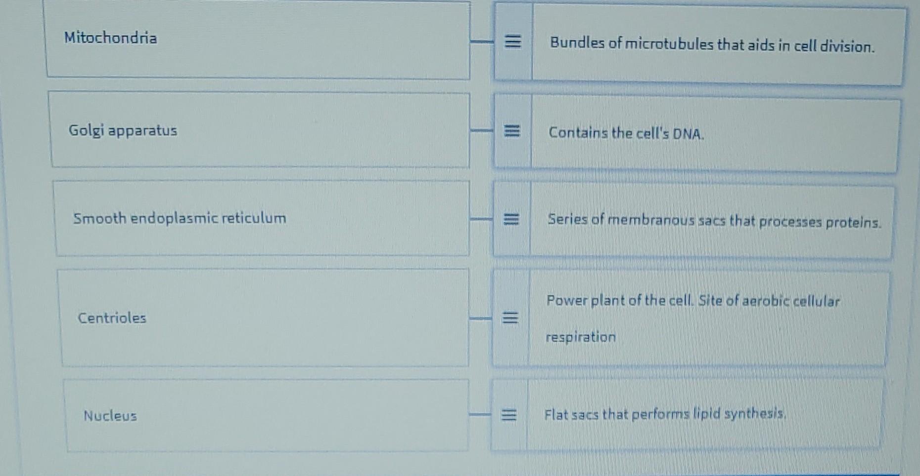 Solved Mitochondria Bundles of microtubules that aids in | Chegg.com