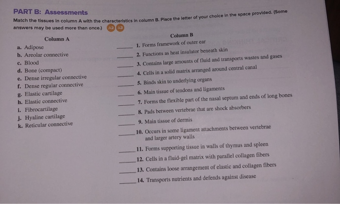 Solved PART B: Assessments Match the tissues in column A | Chegg.com
