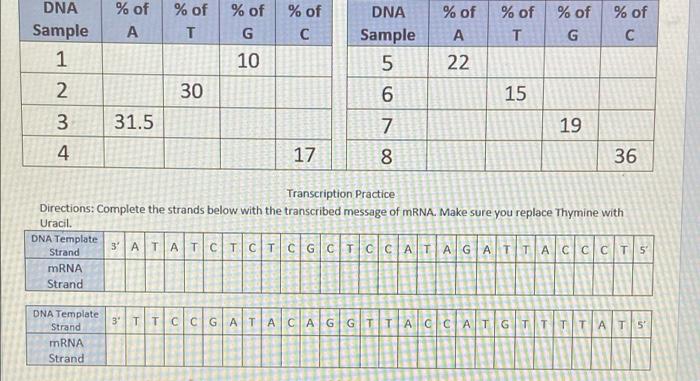 Solved Replication Practice Directions: Complete the strands | Chegg.com