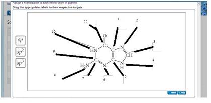 Solved Assign Drag the appropriate labels to their | Chegg.com