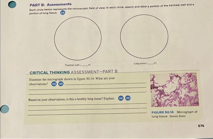 Solved each circle below, represents the microscopic field | Chegg.com