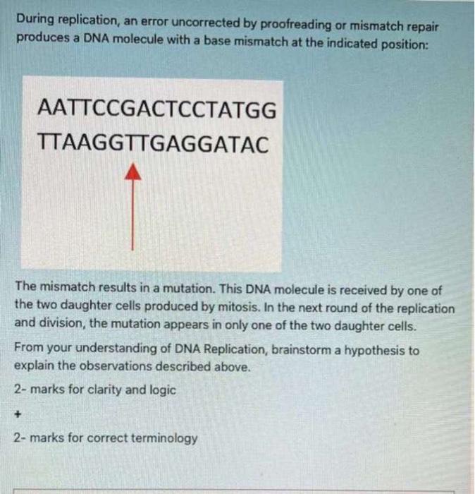 Solved During replication, an error uncorrected by | Chegg.com