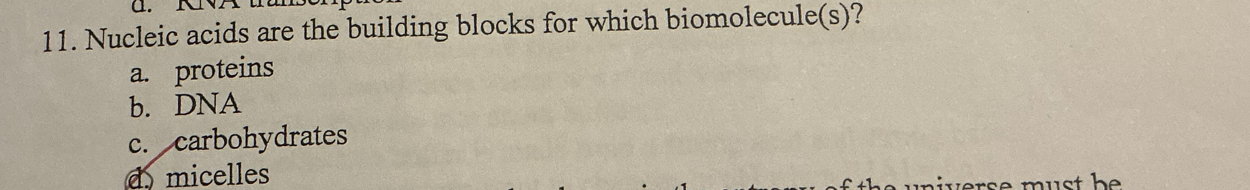 Solved Nucleic acids are the building blocks for which | Chegg.com