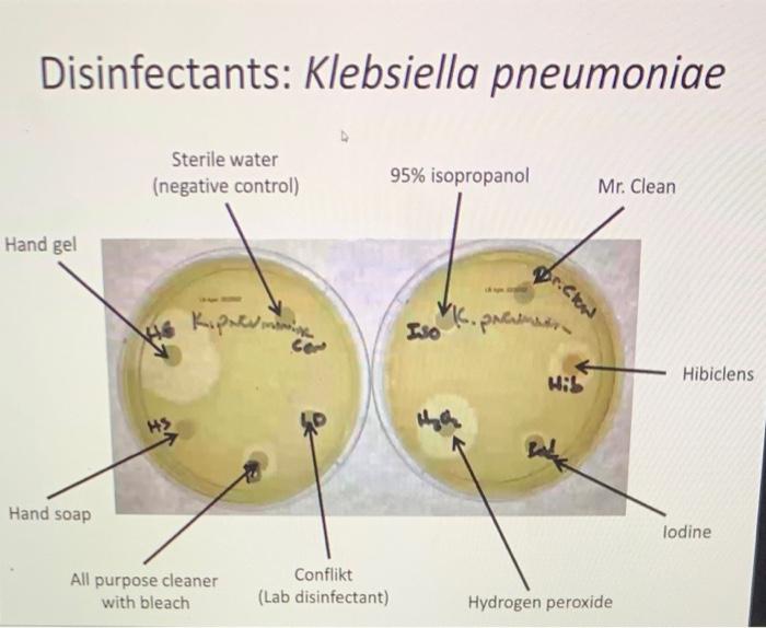 Solved Disinfectants: Staphylococcus simulans Sterile water | Chegg.com