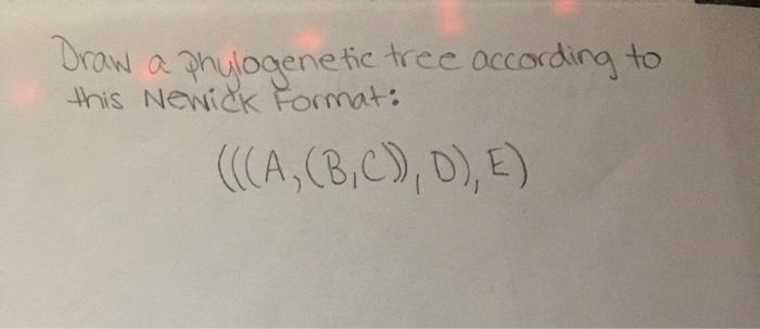 Solved Draw a phylogenetic tree according to this Newick | Chegg.com