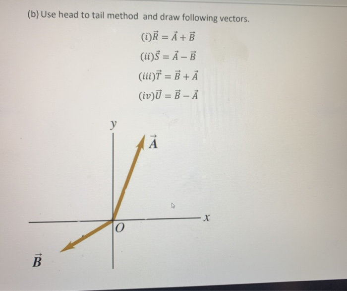Solved (b) Use head to tail method and draw following | Chegg.com
