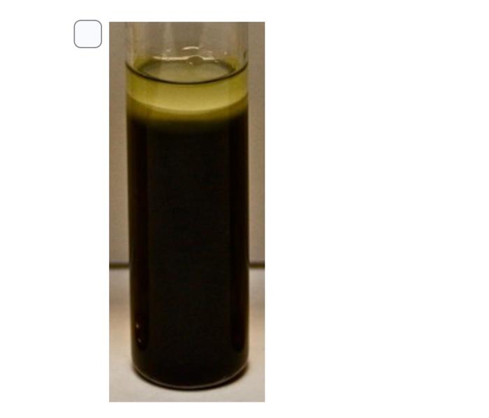 Solved Which bacteria reduce Sulfur? (Select all that | Chegg.com
