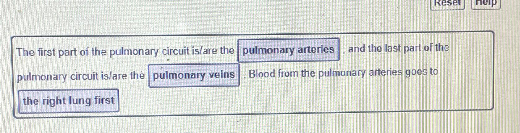 Solved The first part of the pulmonary circuit is/are the | Chegg.com