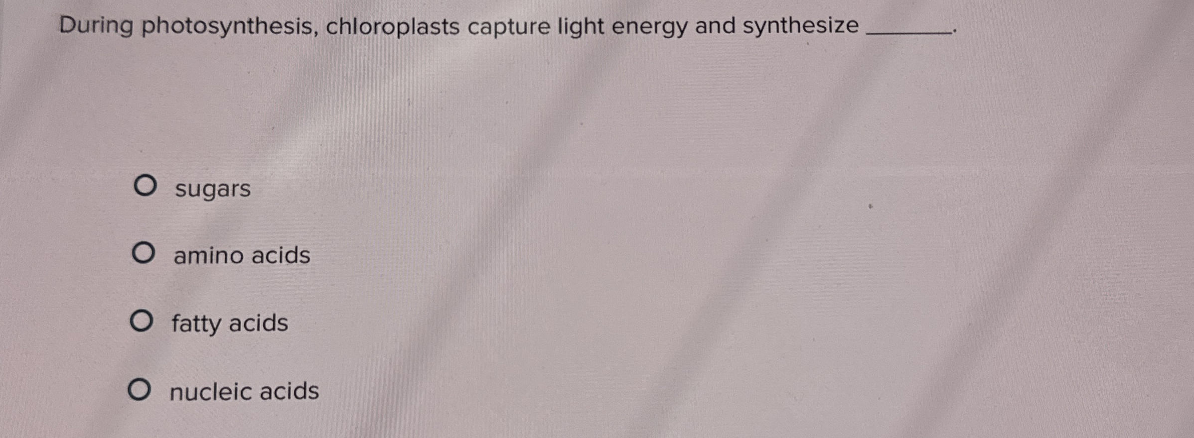 Solved During photosynthesis, chloroplasts capture light | Chegg.com