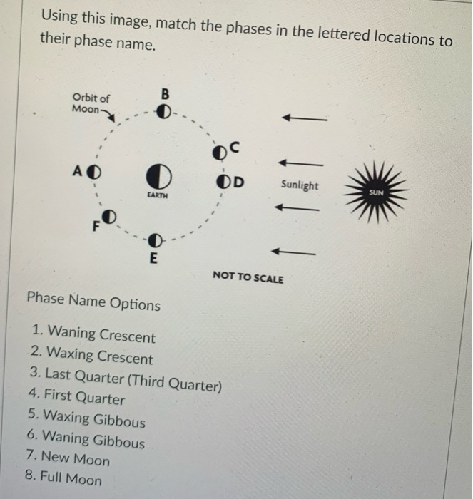 Solved Using this image, match the phases in the lettered | Chegg.com