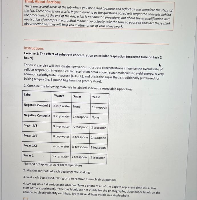 Solved Lab 3: Cellular Respiration (AT HOME) - Students will | Chegg.com