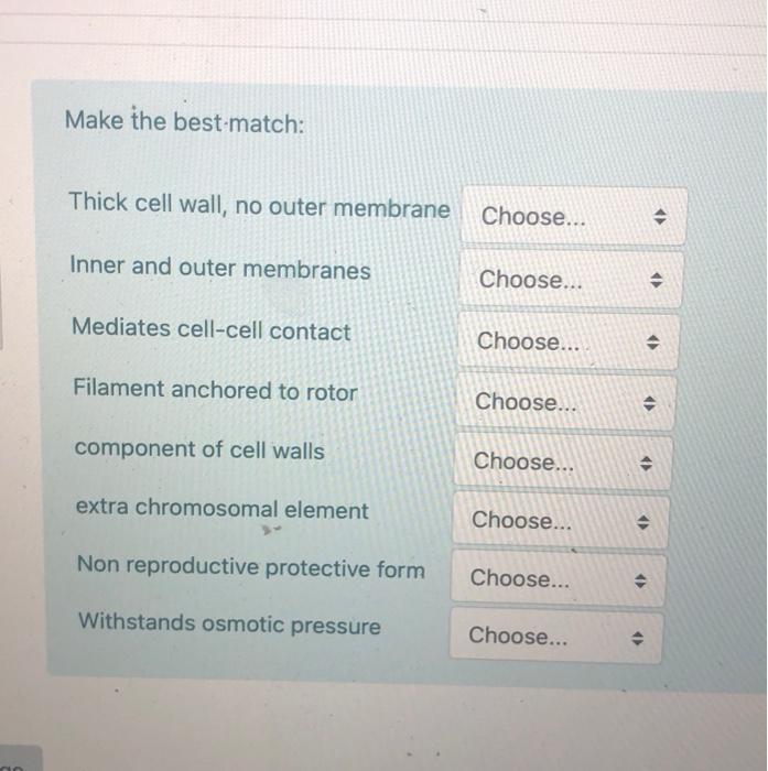 Solved Make the best-match: Thick cell wall, no outer | Chegg.com