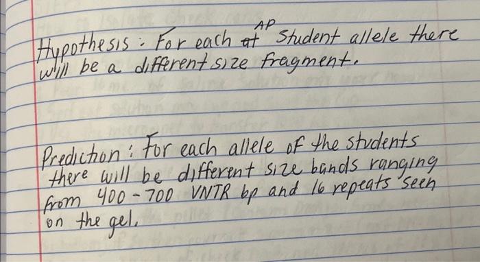 Solved what is a proper hypothesis and prediction for PCR OF | Chegg.com