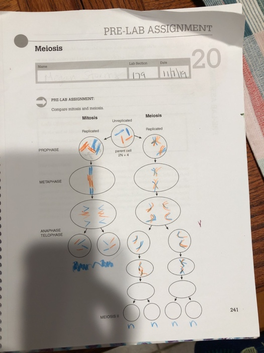 Solved PRE-LAB ASSIGNMENT Meiosis Lah Section 20 Date na | Chegg.com Solved PRE-LAB ASSIGNMENT Meiosis Lah Section 20 Date na | Chegg.com