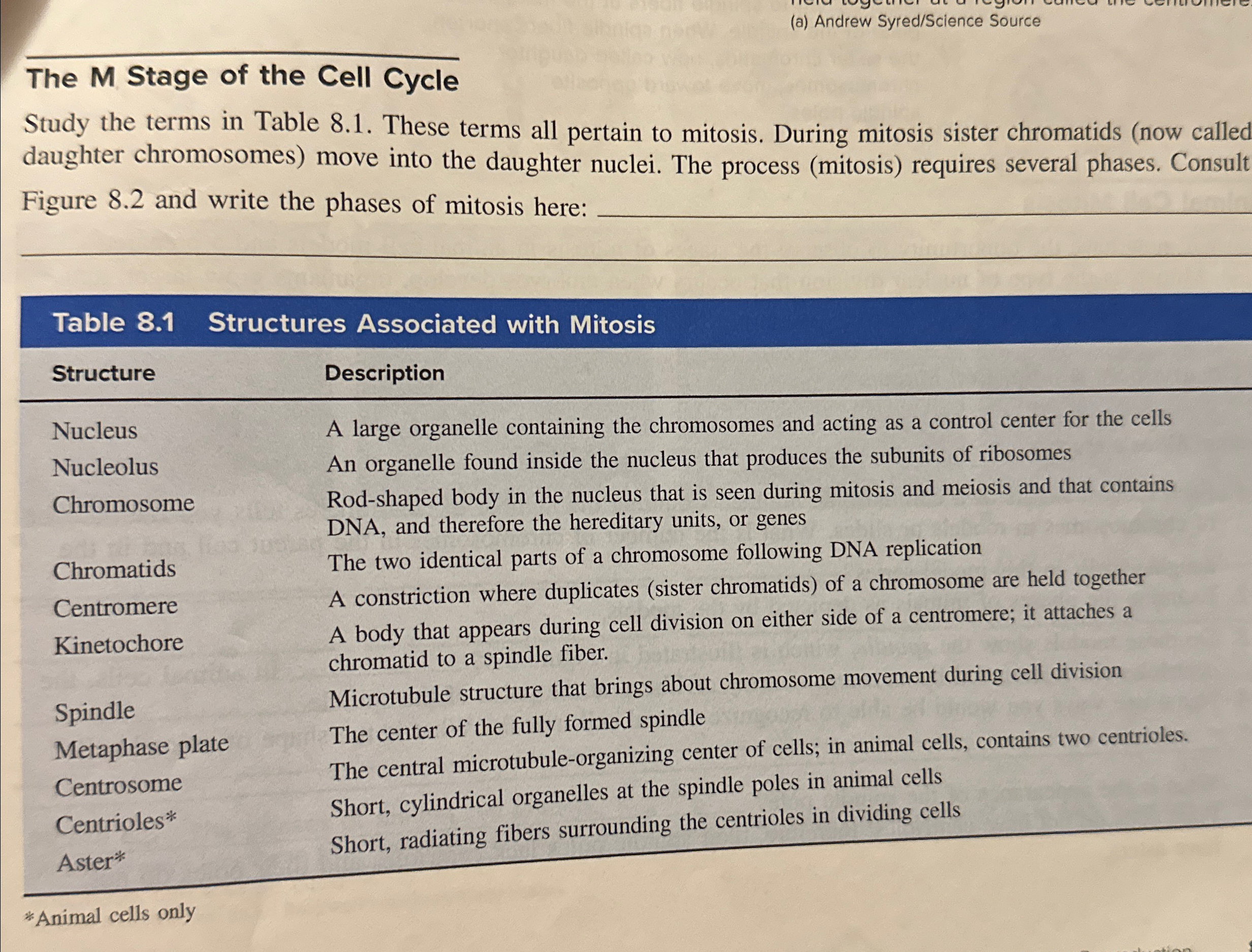 Solved (a) ﻿Andrew Syred/Science SourceThe M Stage of the | Chegg.com