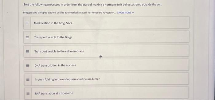 Solved Sort the following processes in order from the start | Chegg.com