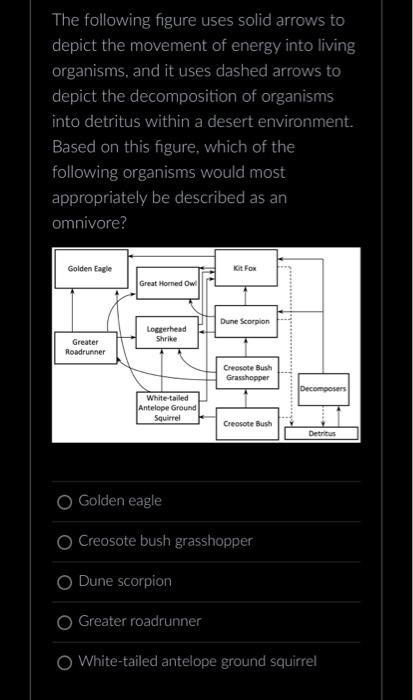 Solved The following figure uses solid arrows to depict the | Chegg.com Solved The following figure uses solid arrows to depict the | Chegg.com