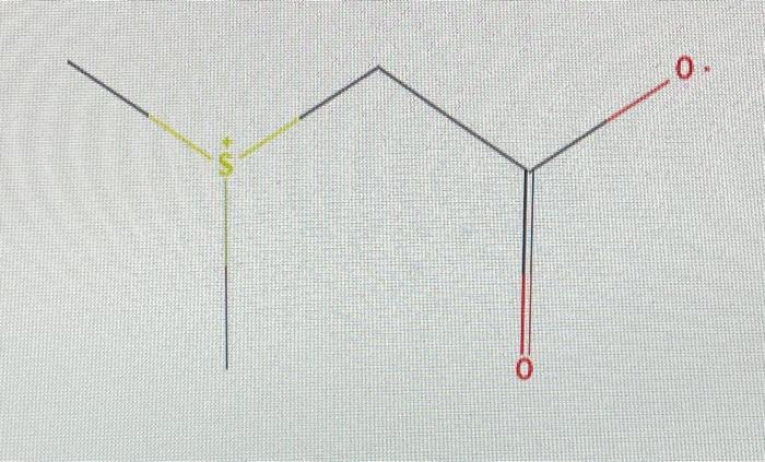 Solved Can someone help me identify all of the functional | Chegg.com