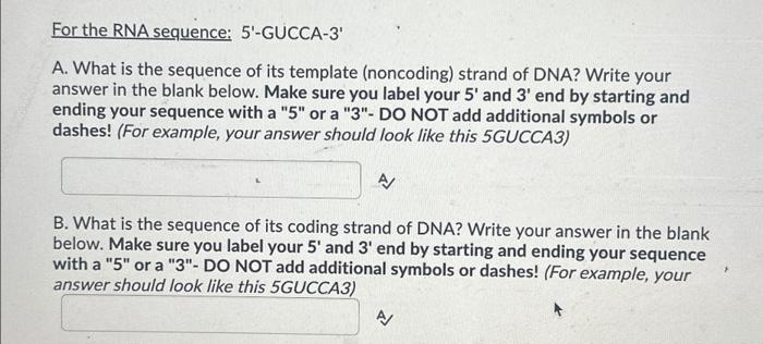 Solved For the RNA sequence: 5'-GUCCA-3' A. What is the | Chegg.com