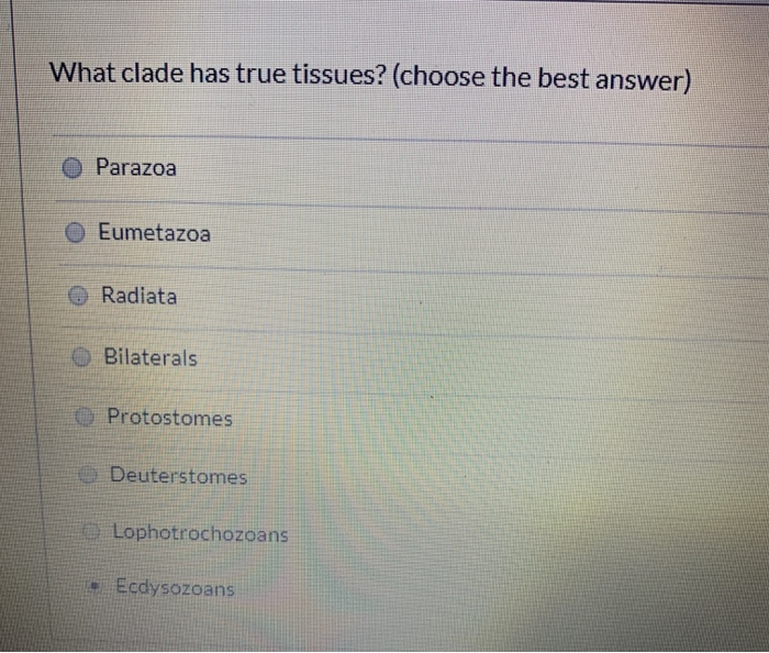 Solved What clade has true tissues? (choose the best answer) | Chegg.com