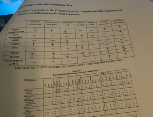 Solved gram negative bacteria dichotomous keyuse these 7 | Chegg.com