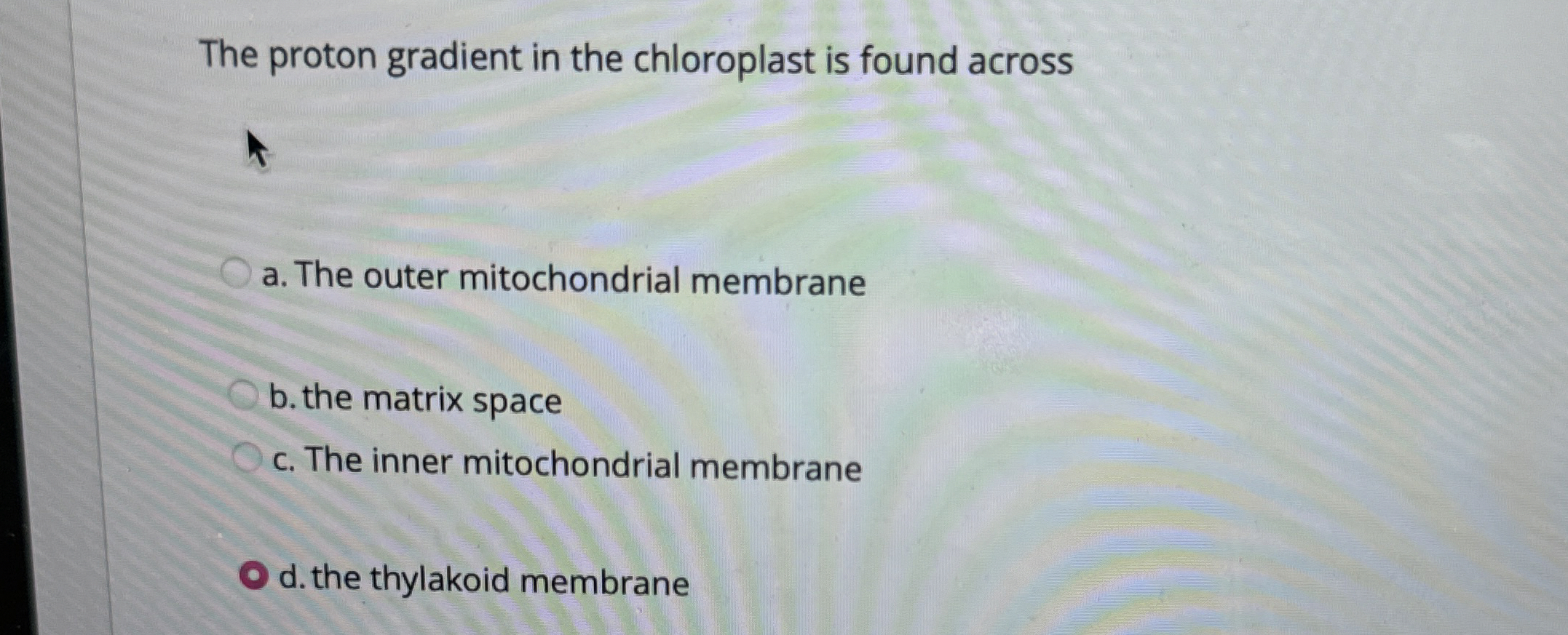 Solved The proton gradient in the chloroplast is found | Chegg.com