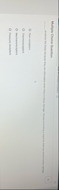 Solved Multiple Choice Question Pain | Chegg.com