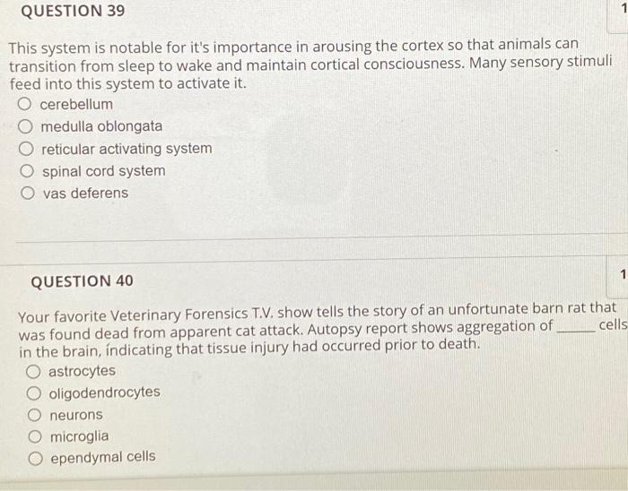 Solved In a spinal cord monosynaptic stretch reflex arc, the | Chegg.com