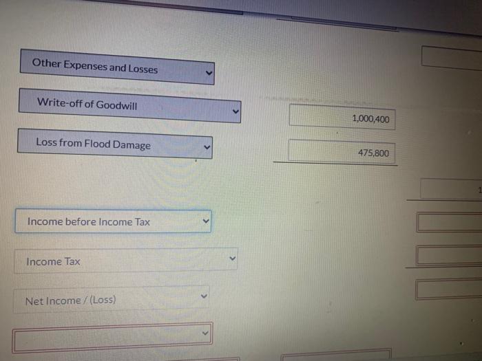 Solved Other Expenses and Losses Write-off of Goodwill | Chegg.com