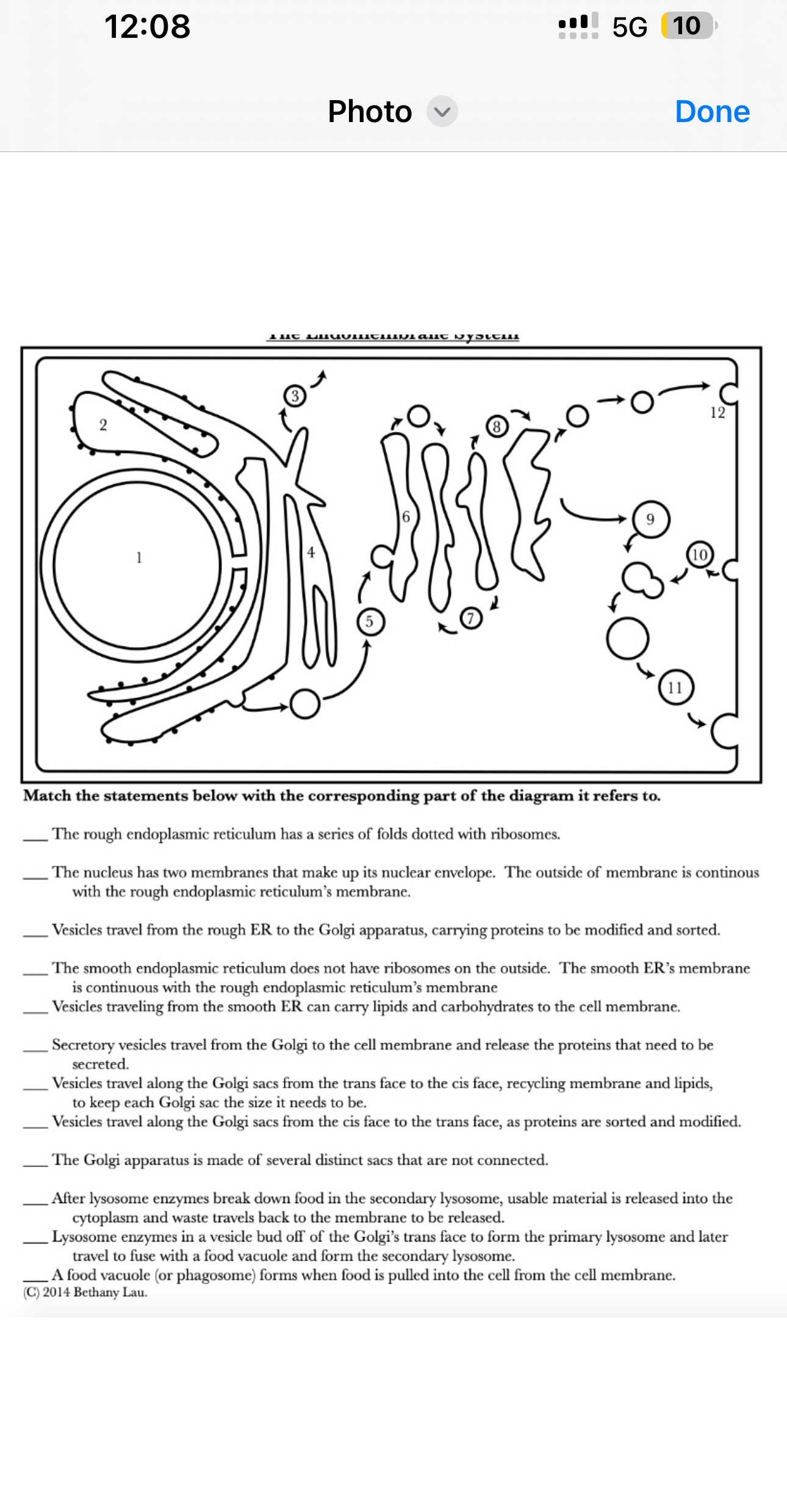 Answer the picture below | Chegg.com