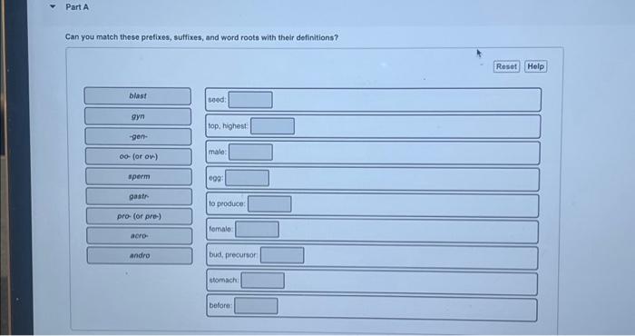 Solved Part A Can you match these prefixes, suffixes, and | Chegg.com