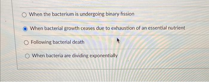 Solved When the bacterium is undergoing binary fission When | Chegg.com