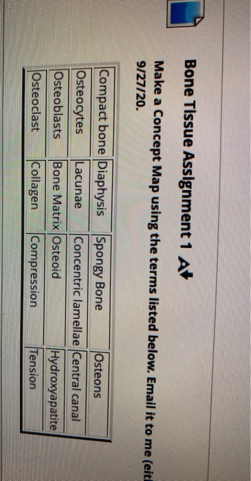 Solved Bone Tissue Assignment 1 A Make a Concept Map using | Chegg.com
