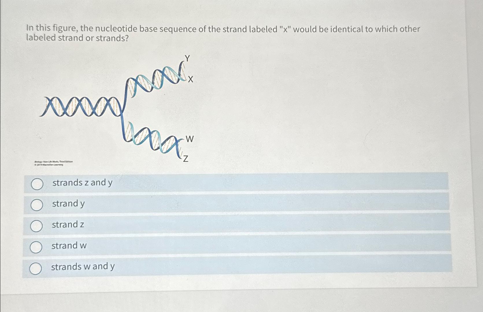 Solved In this figure, the nucleotide base sequence of the | Chegg.com