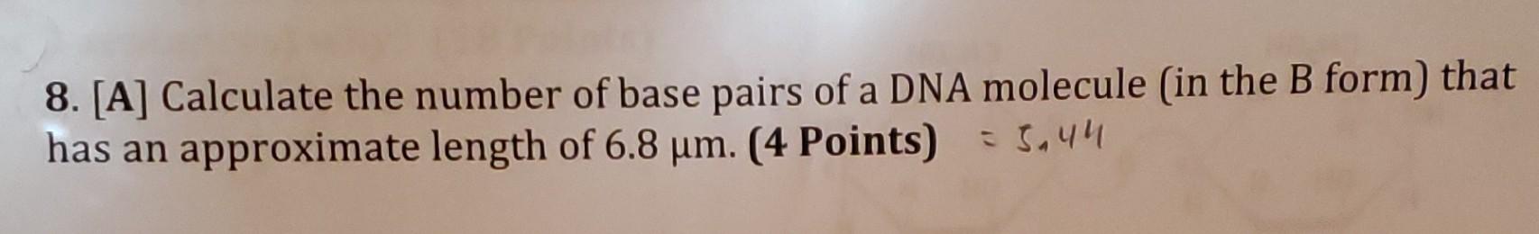Solved 8. [A] Calculate the number of base pairs of a DNA | Chegg.com